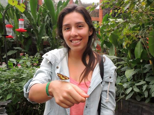 Social Entrepreneur Corps - About Us